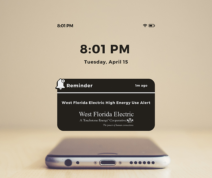 A Quick Guide to Alerts & Reminders - Current Light Flashes - West ...